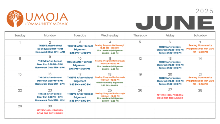 Umoja Community Mosaic | From a soccer program to a neighborhood movement